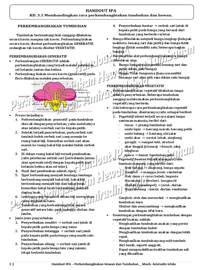 Handout Tema 1 IPA Kelas 6 | PDF