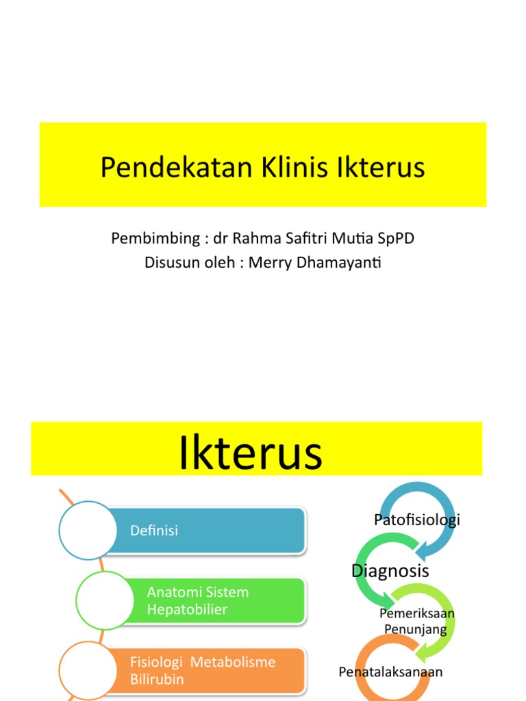 Pendekatan Klinis Ikterik Pdf