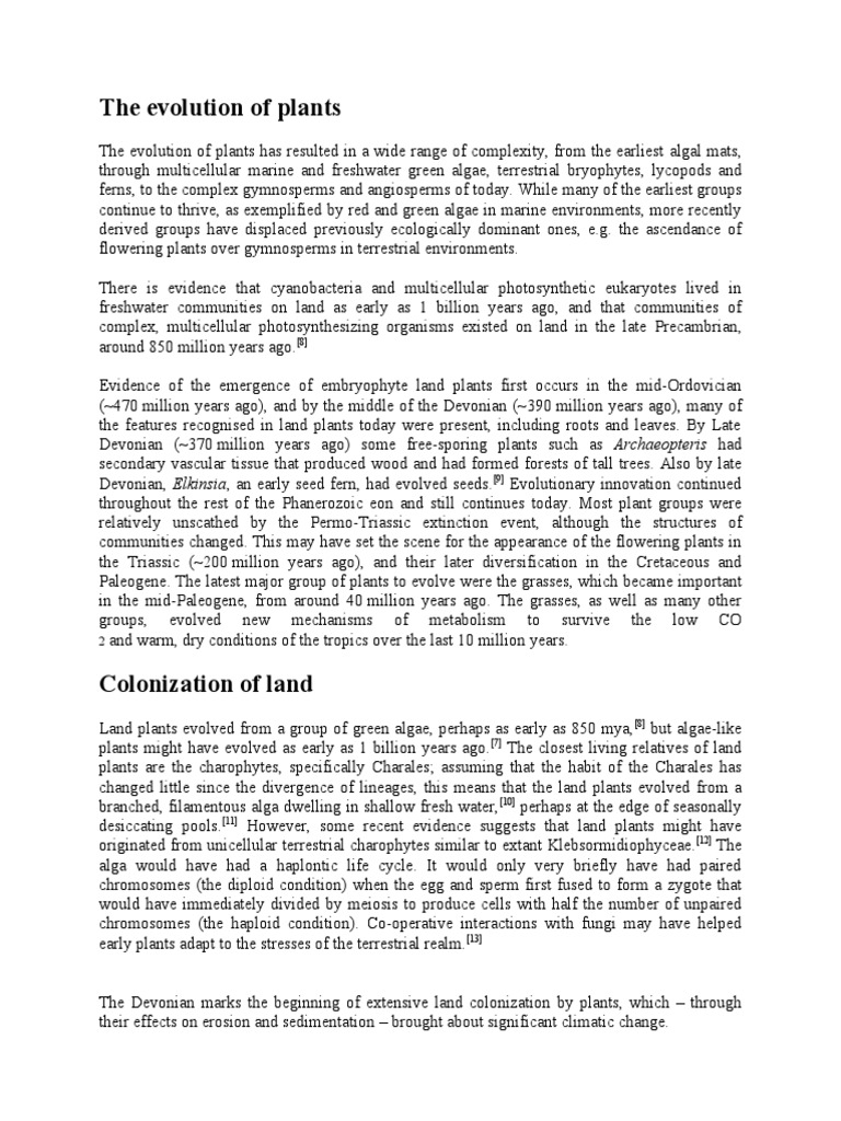 The Evolution of Plants | PDF | Plants | Organisms