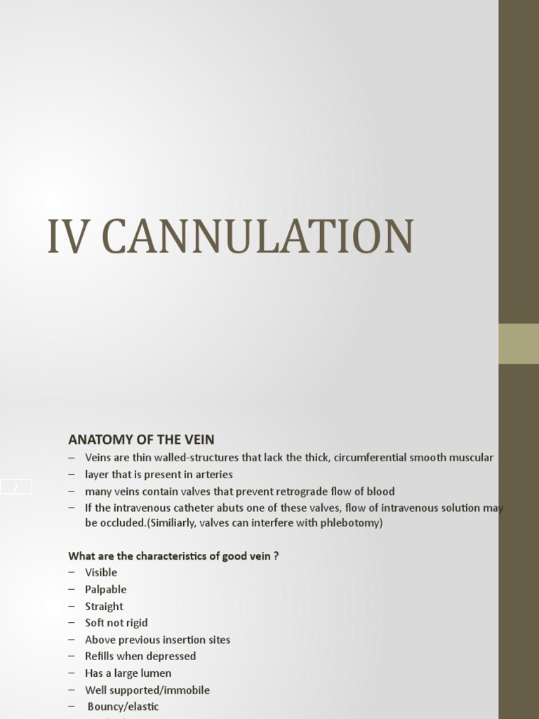 IV Cannulation | PDF | Intravenous Therapy | Vein