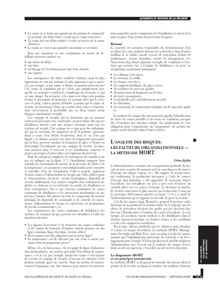 L'audit Et L'inspection 2 | PDF | Sécurité | Risque