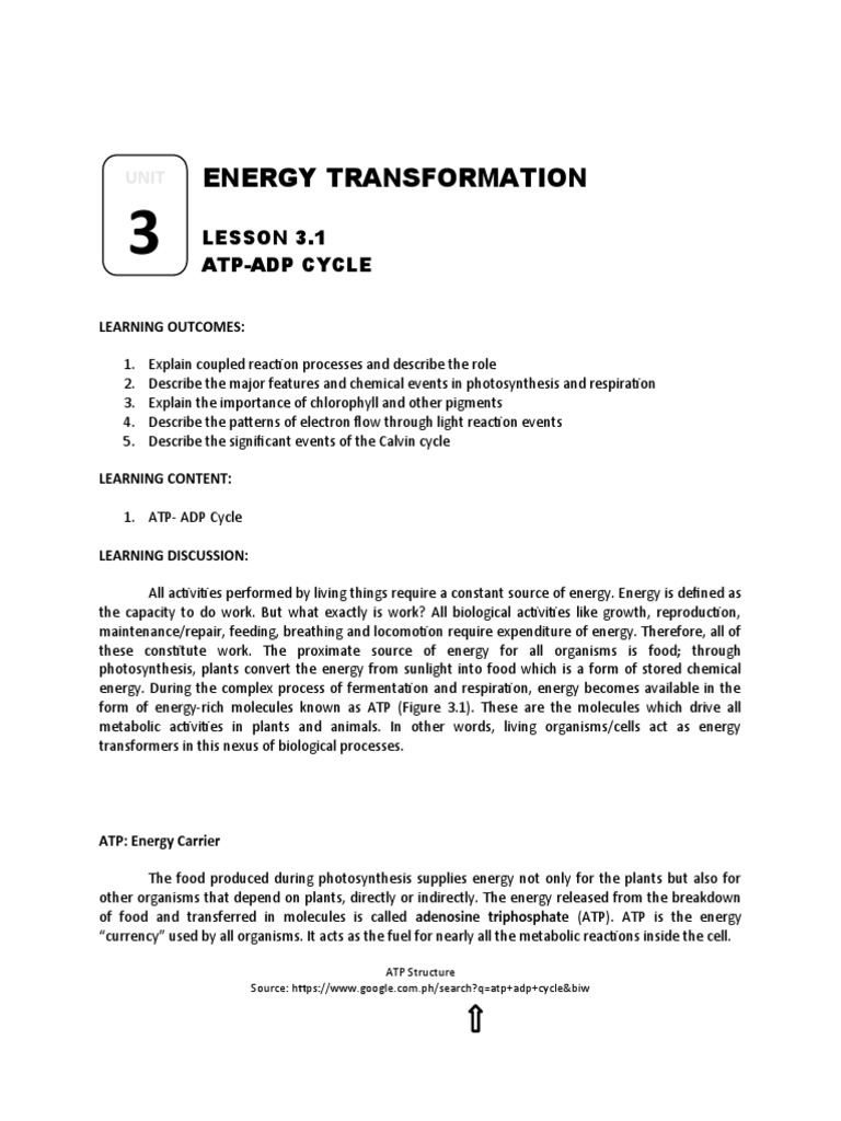 ATP-ADP Cycle Explained | PDF | Adenosine Diphosphate | Adenosine ...