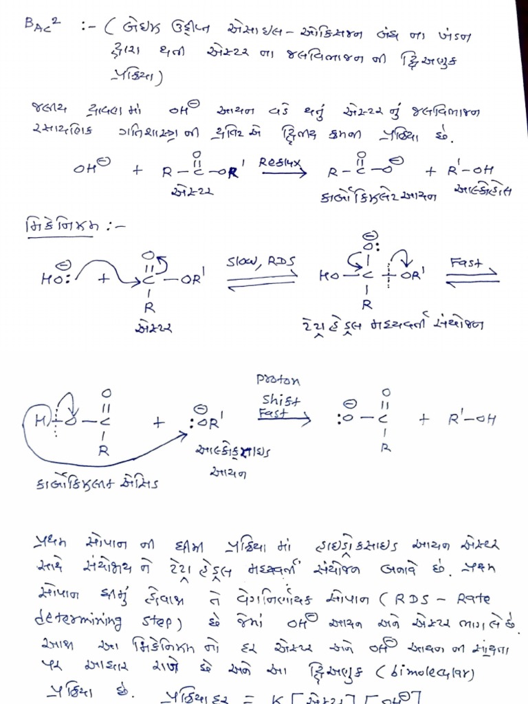 BAC2 and AAC2 Mechanism | PDF