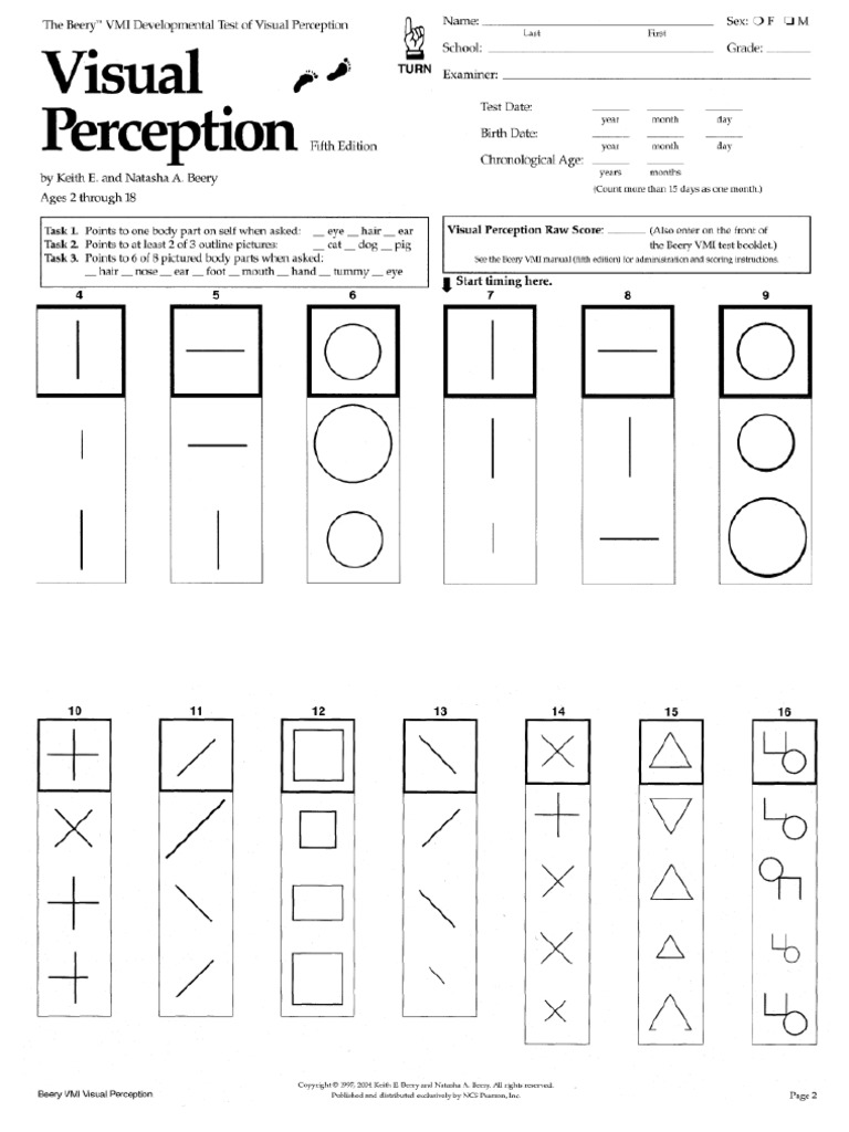 VMI Visual Perception | PDF