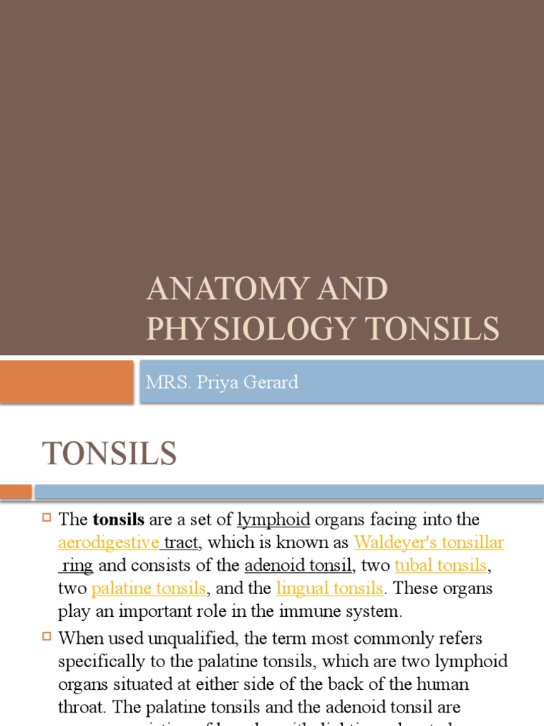 Anatomy and Physiology Tonsils: MRS. Priya Gerard | PDF | Medical Specialties | Anatomy