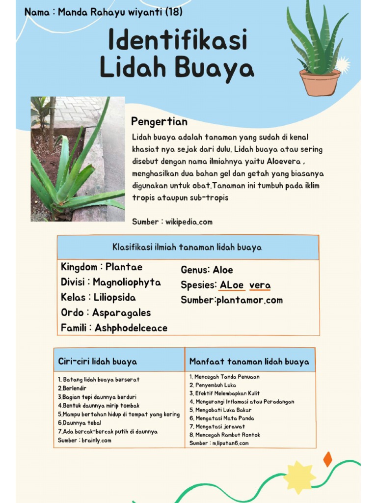 Poster Lidah Buaya | PDF
