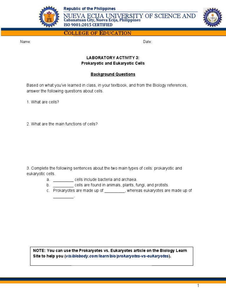 Lab Activity 3 | PDF | Cell (Biology) | Prokaryote