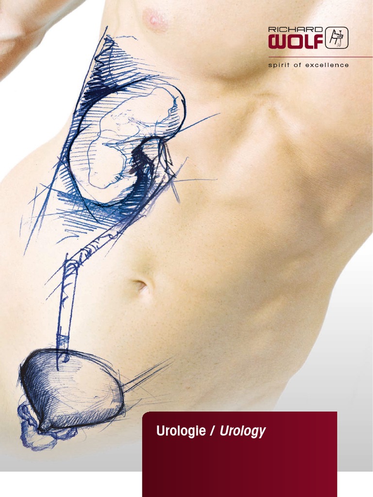 Urologie En17 | PDF