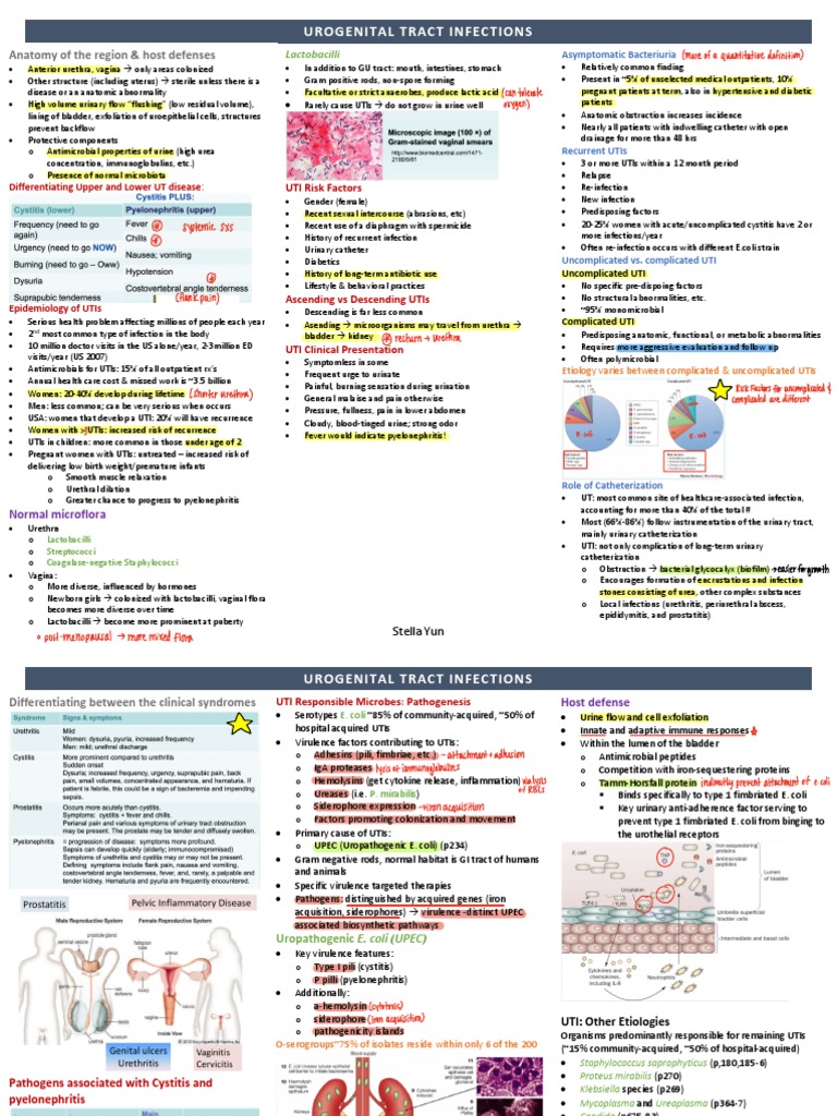 Urinary Tract Infections Pdf Urinary Tract Infection Sexually