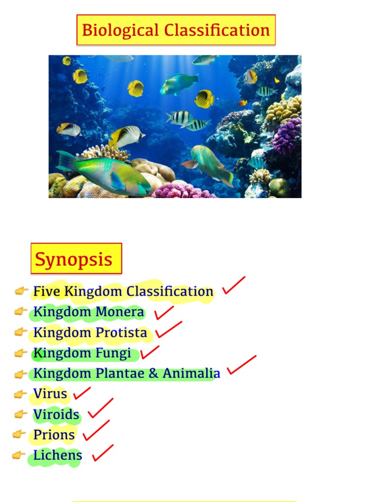 Biological Classification | PDF | Fungus | Virus