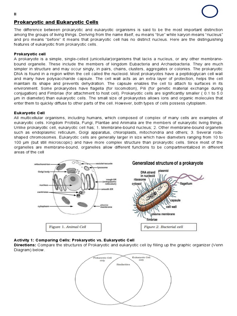 Prokaryotic and Eukaryotic Cells | PDF | Cell (Biology) | Prokaryote