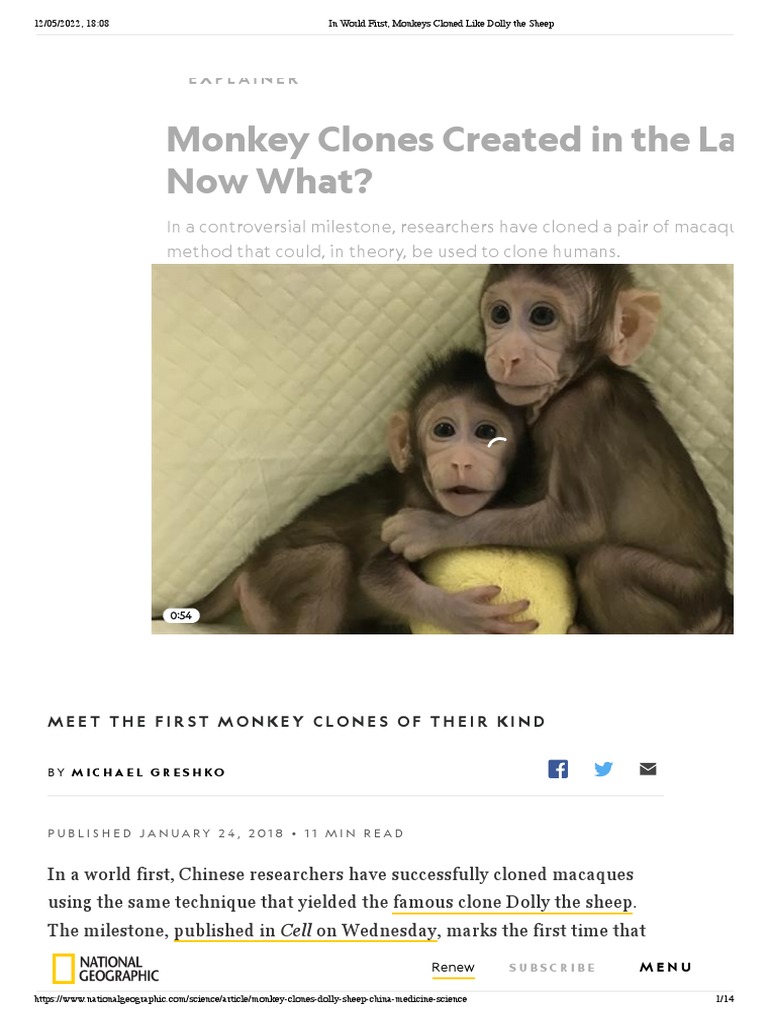 In World First, Monkeys Cloned Like Dolly The Sheep | PDF | Cloning ...