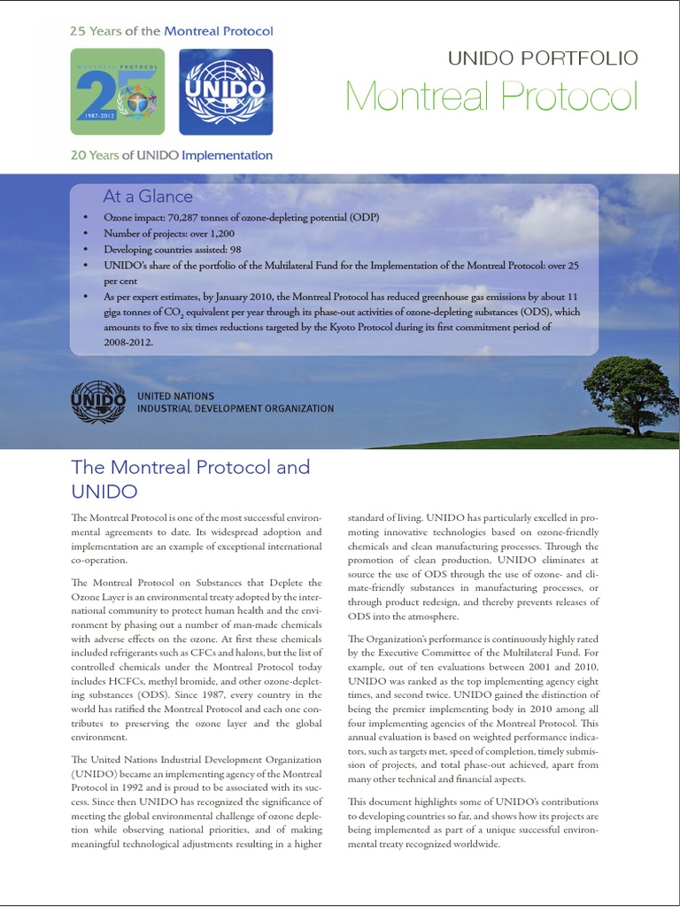 Montreal Protocol | PDF | Chlorofluorocarbon | Nature