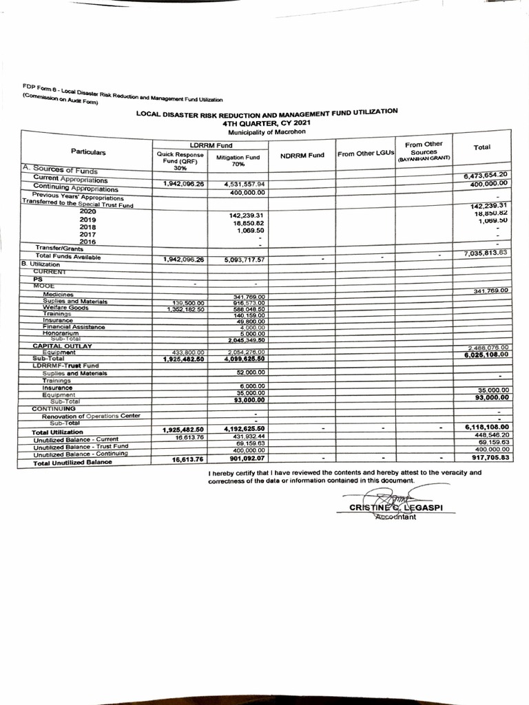 LDRRMF Utilization | PDF