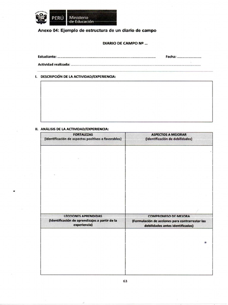 Ficha Diario de Campo | PDF