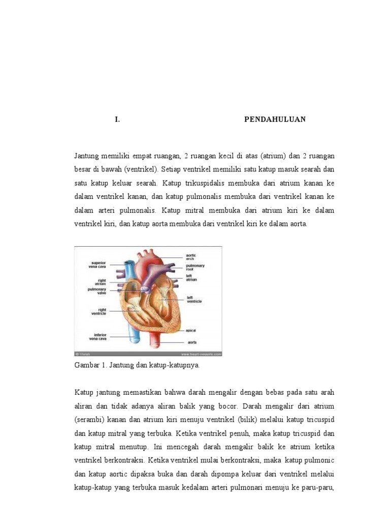 Kelainan Katup Mitral | PDF