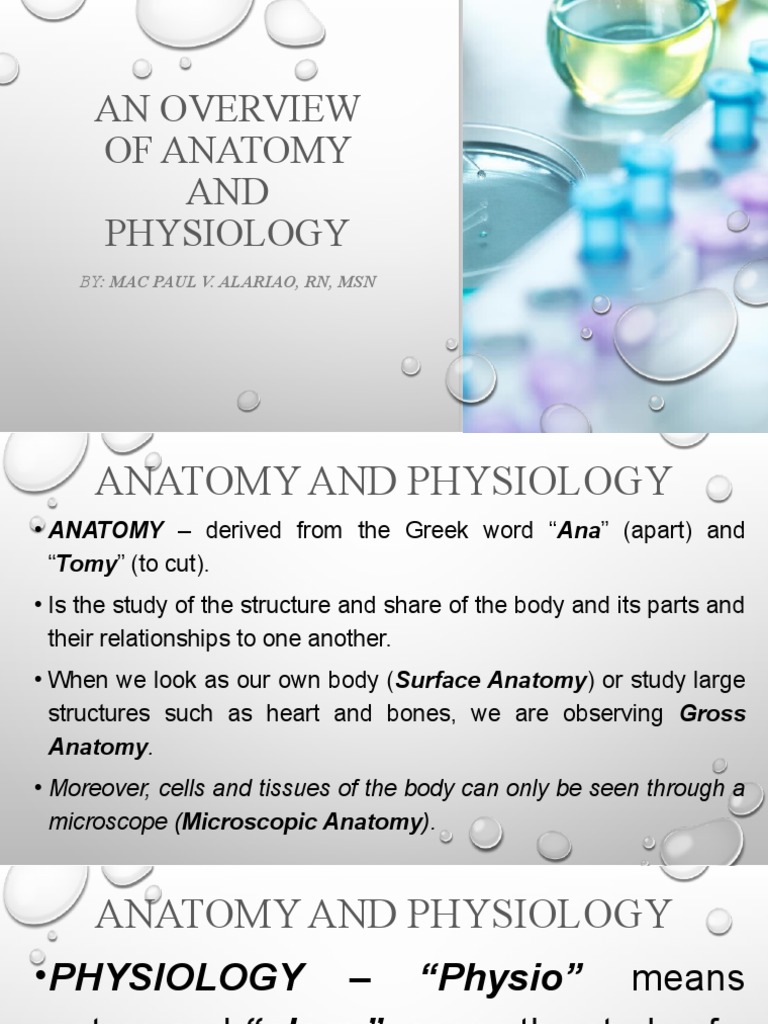 An Overview of Anatomy and Physiology | PDF | Homeostasis | Anatomical ...