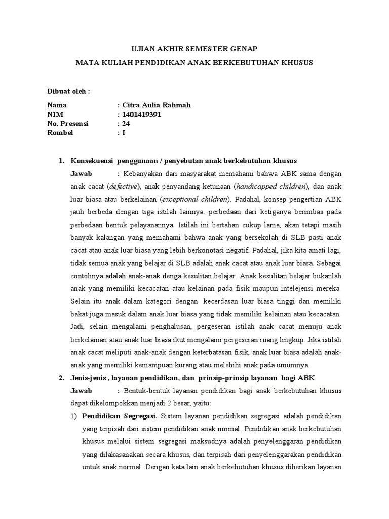 Pendidikan Anak Berkebutuhan Khusus | PDF | Karier & Perkembangan | Kesehatan Holistik