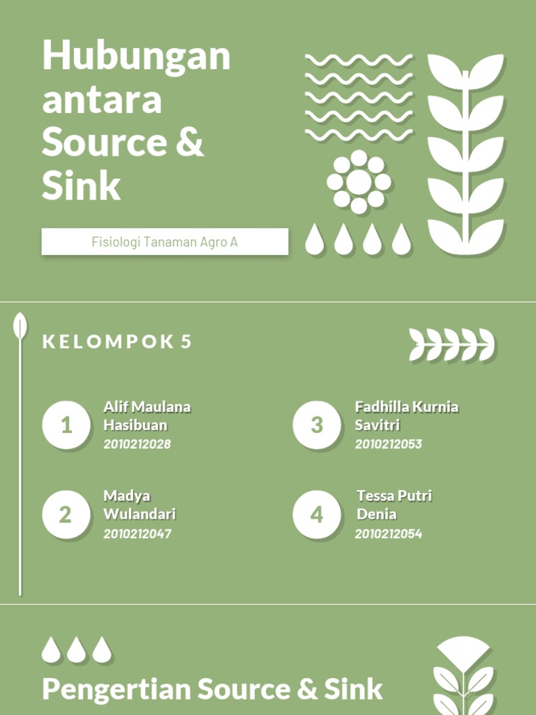 Fistan - Source & Sink | PDF