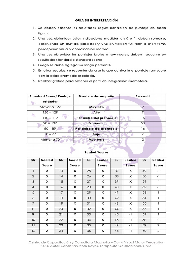 Guia de Interpretación VMI - PDF Versión 1 | PDF