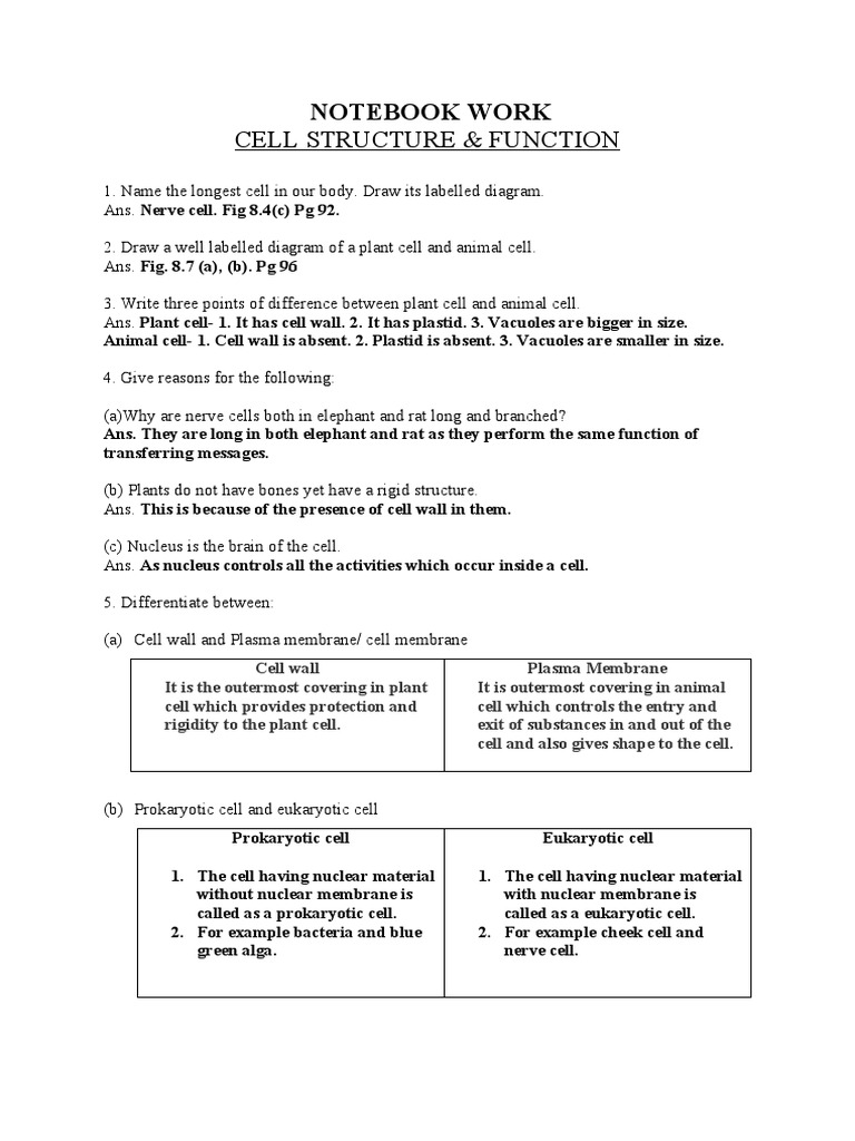 CH-8 Notebook Work-Answer Key | PDF | Cell (Biology) | Eukaryotes