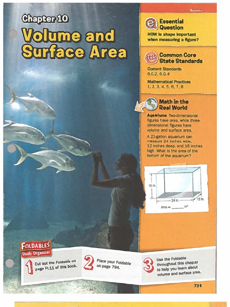 Math Chapter 10 | PDF