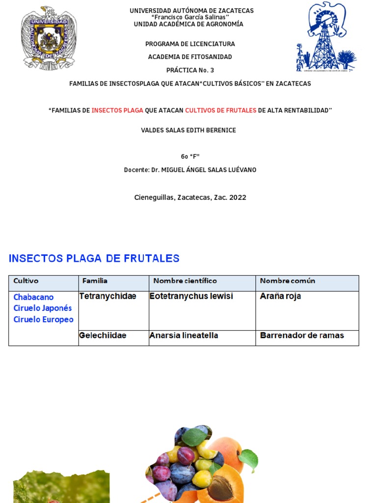 Valdes Salas Edith Berenice (p3) | PDF | Plaga (organismo) | Insectos y humanos