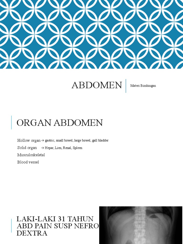 Abdomen Organ Guide And Case Studies Pdf