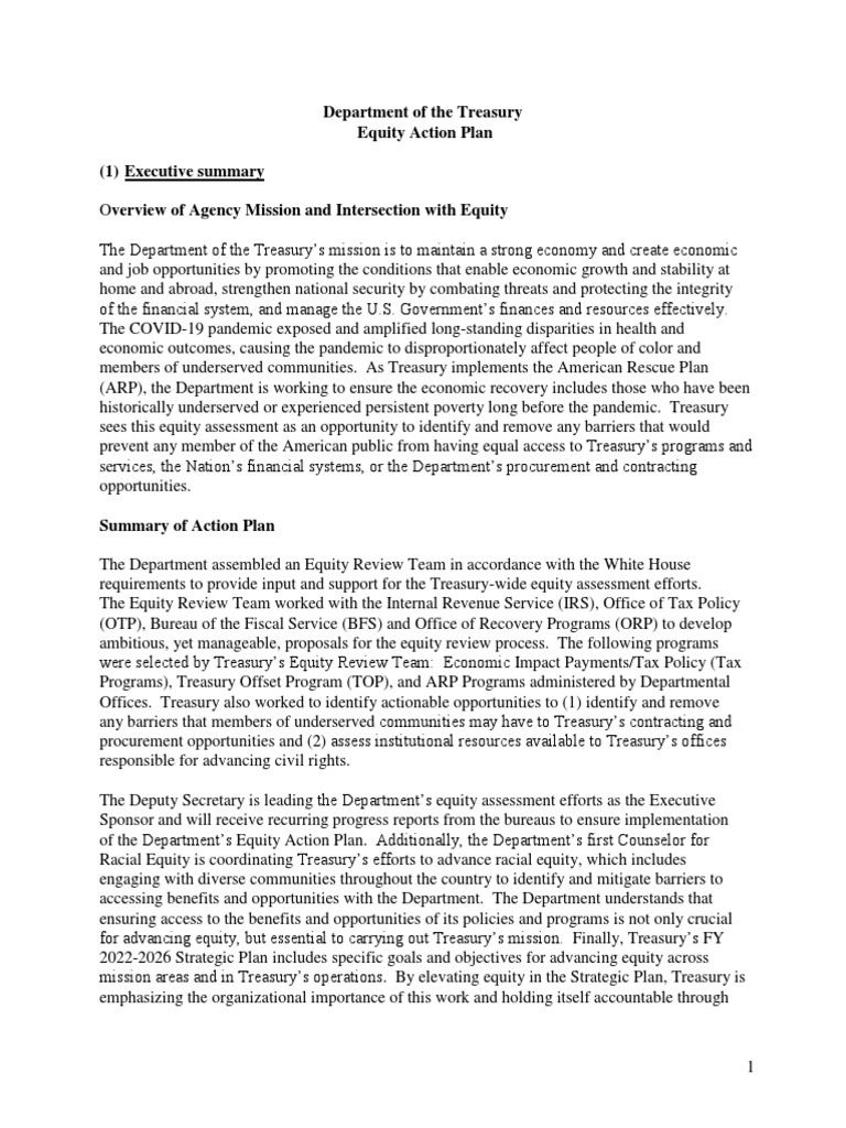 Treasury Equity Action Plan Overview | PDF | Debt | Taxes