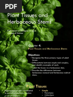 Epithelial Tissues Mnemonics | PDF | Epithelium | Organ (Anatomy)