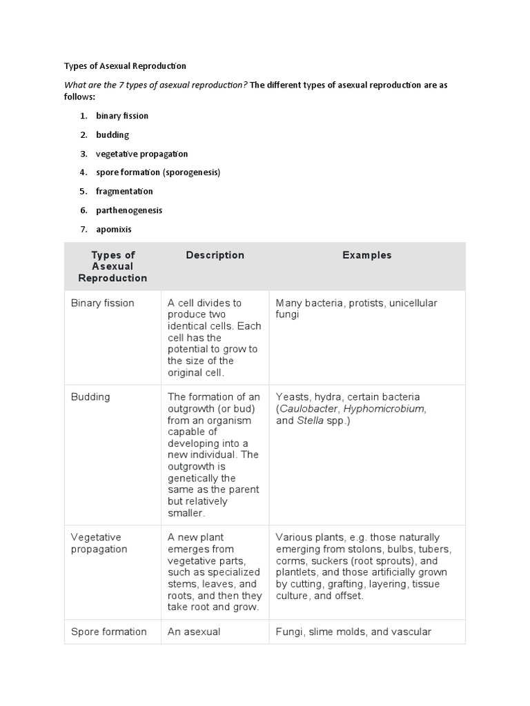 Types of Asexual Reproduction Explained | PDF | Cloning | Reproduction