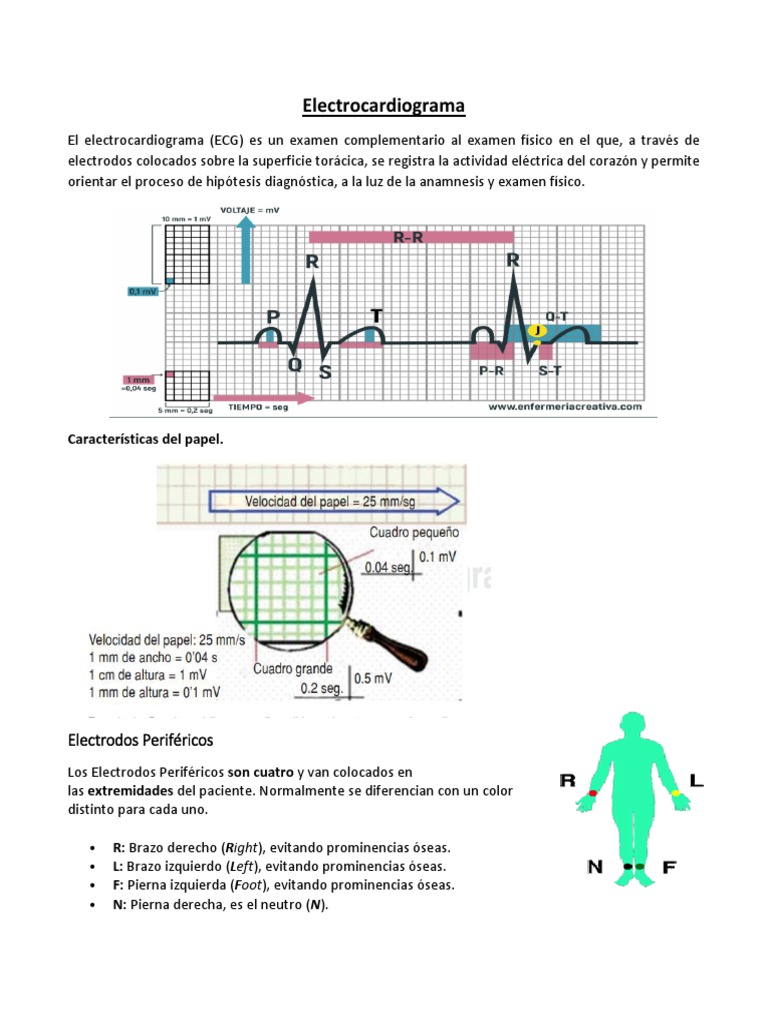 Electrocardiograma | PDF | Electrocardiografia | Electrofisiología cardíaca