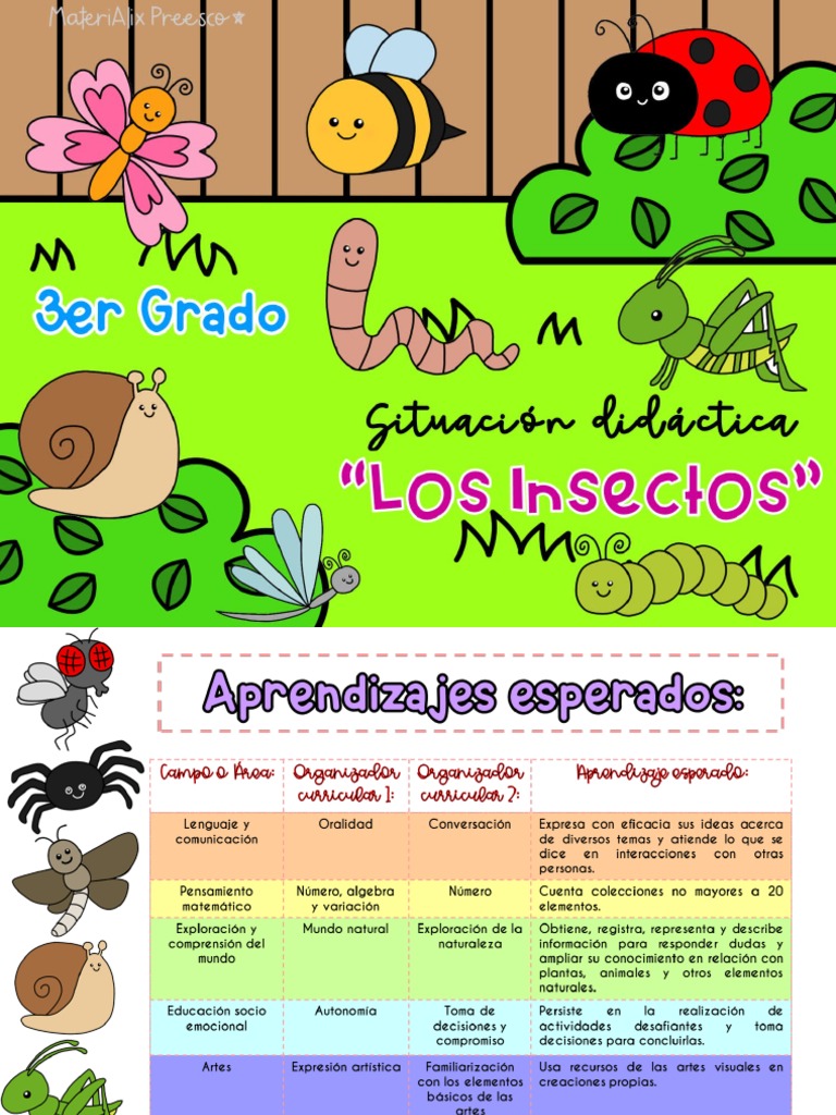 Plan Los Insectos | PDF | Salón de clases | Aprendizaje