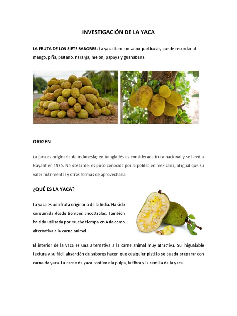 Beneficios y propiedades de la yaca | PDF | Antioxidante | Vitamina C