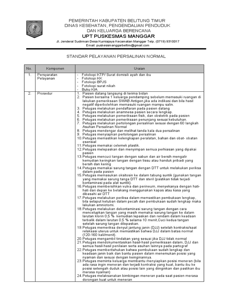 Standar Pelayanan Persalinan Normal | PDF