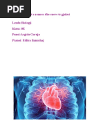 Filma24.LOL Filma Dhe Seriale Me Titra Shqip HD | PDF