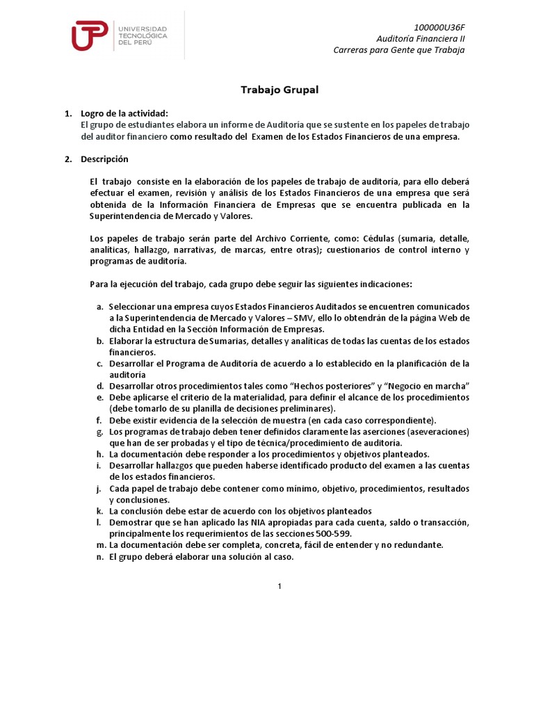 Tarea Final | PDF | Auditoría | Business