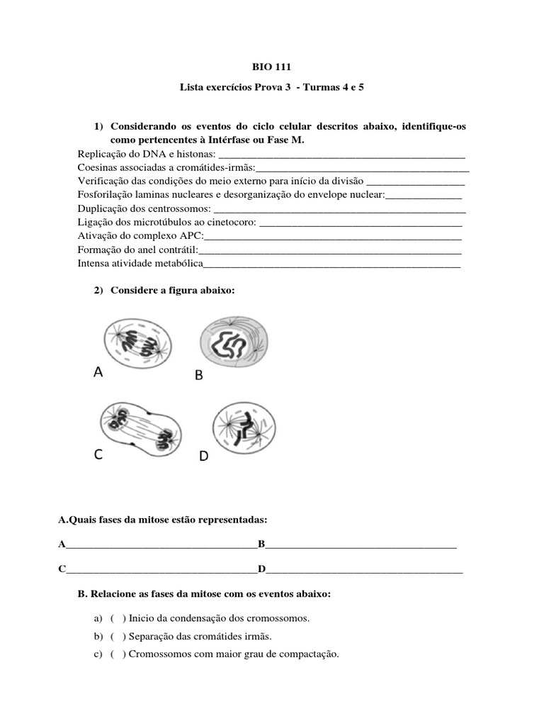 Lista Exercícios Prova 3 Bio 111 Ufv | PDF | Mitose | Célula (Biologia)
