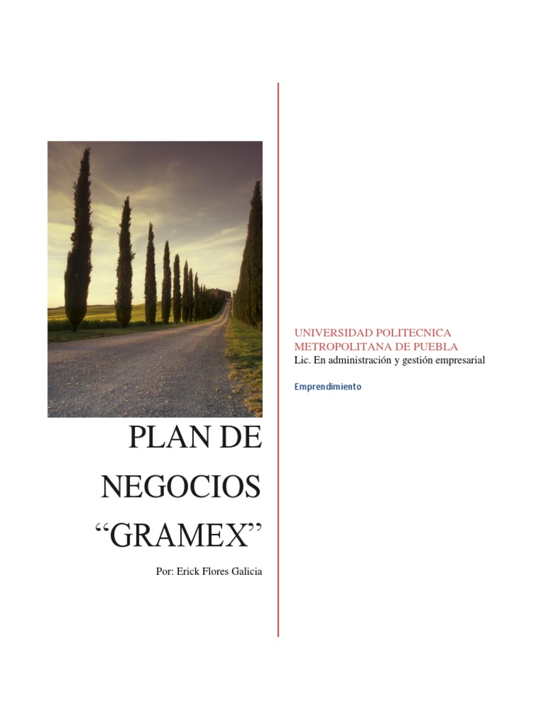 Gramex Modelo de Negocios Corregido | PDF | Cereales | Marketing