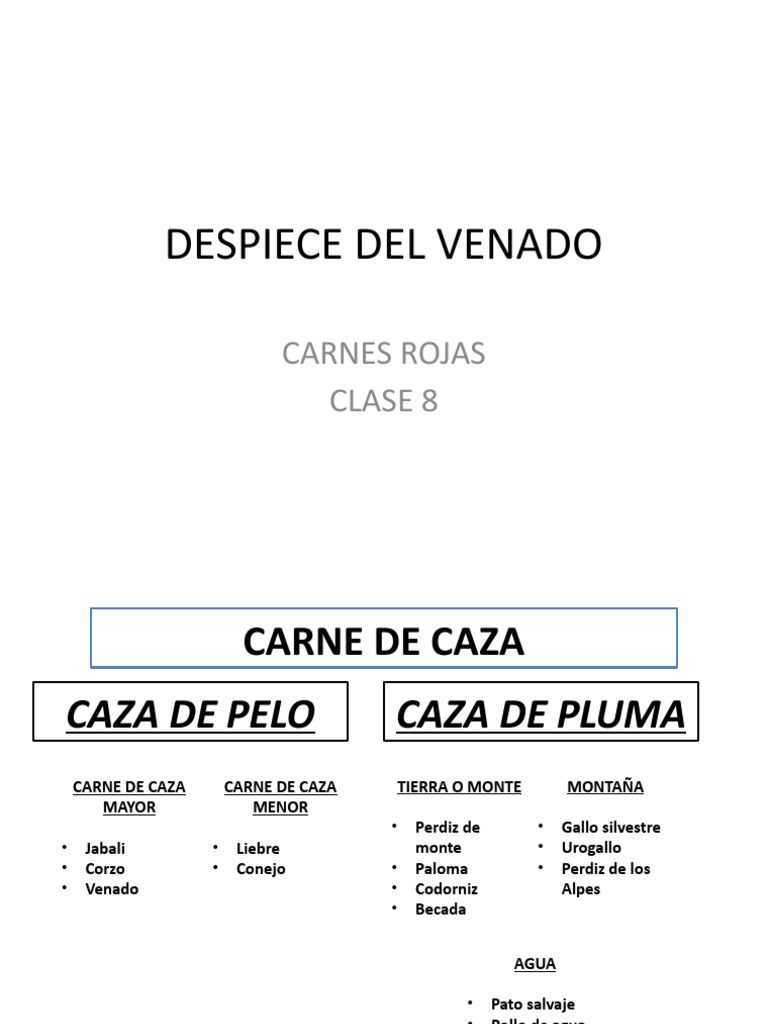 Clase 8 Despiece Del Venado | PDF