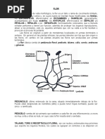 Perianto y Perigonio PDF | PDF | Flores | Ramas de la botánica