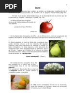 Morfología de Frutos: Silicua y Cipsela | PDF | Fruta | Morfología Vegetal