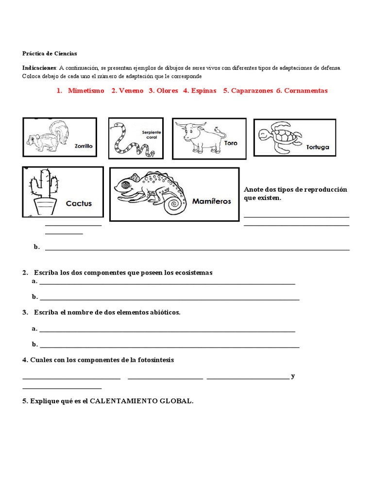 Práctica de Ciencias | PDF