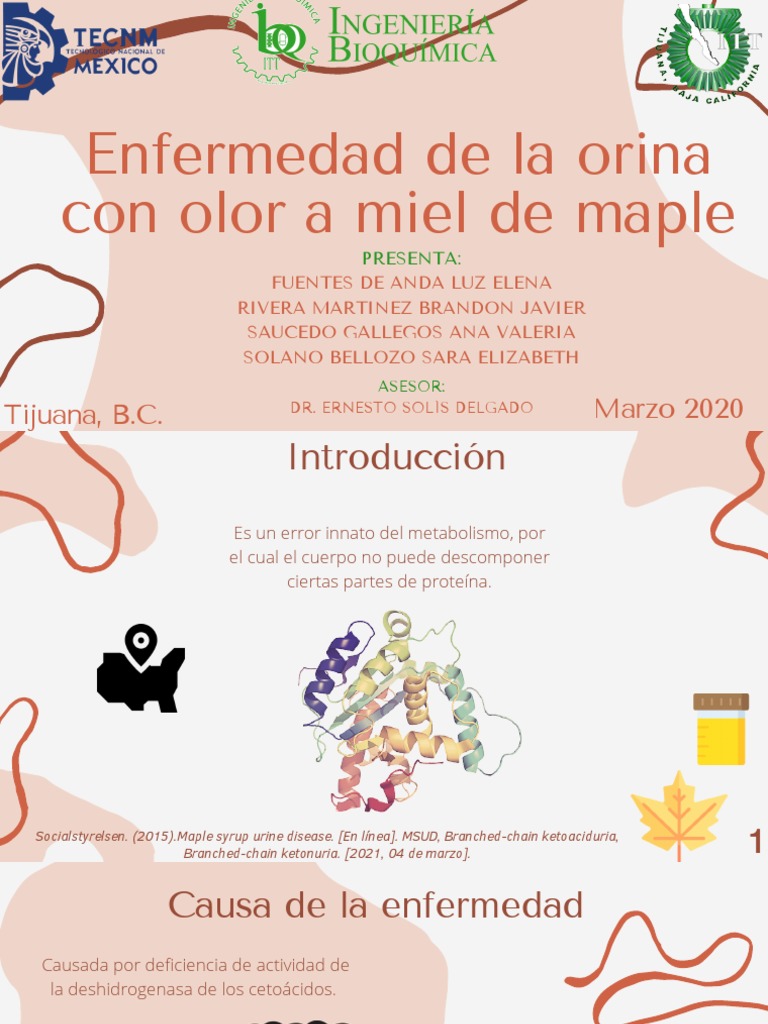 Enfermedad de orina con olor a jarabe de arce | PDF | Bioquímica | Química