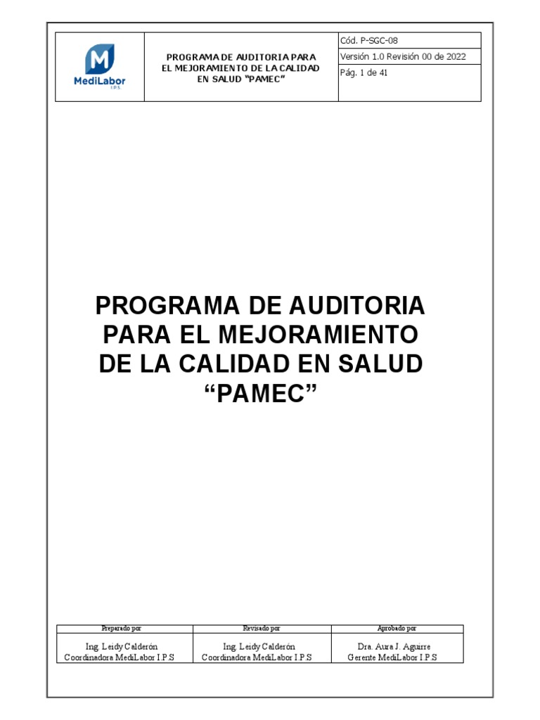 Iv. Pamec | PDF | Calidad (comercial) | Auditoría