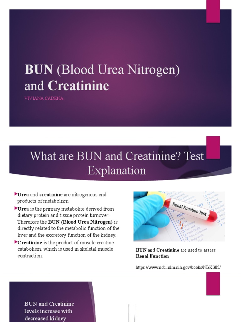 BUN (Blood Urea Nitrogen) and Creatinine | PDF | Creatinine | Clinical ...