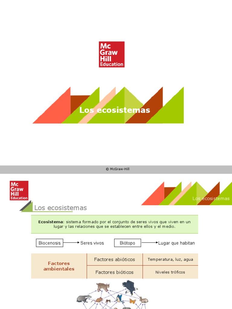 Biología 1º ESO Tema 10 | PDF | Ecosistema | Suelo