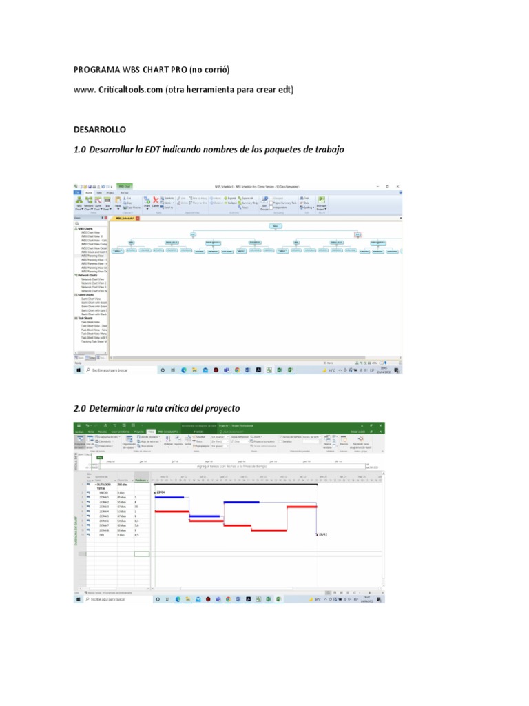 Programa WBS Chart Pro | PDF