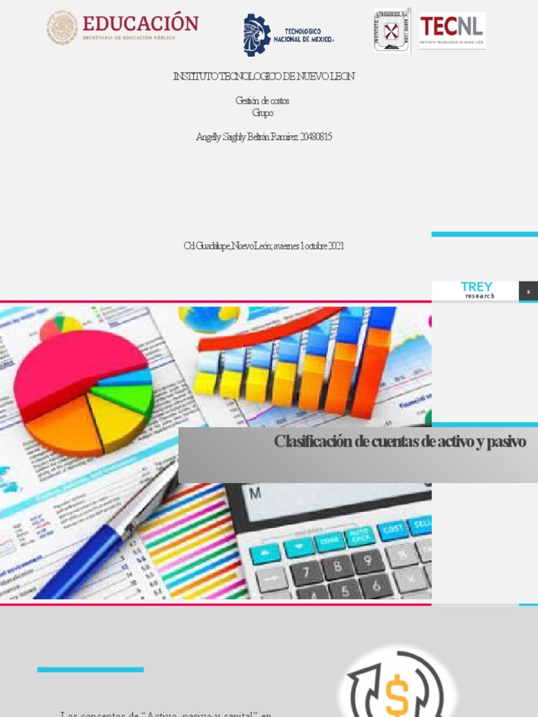 Cuentas de Activo y Pasivo | PDF | Bienes | Business