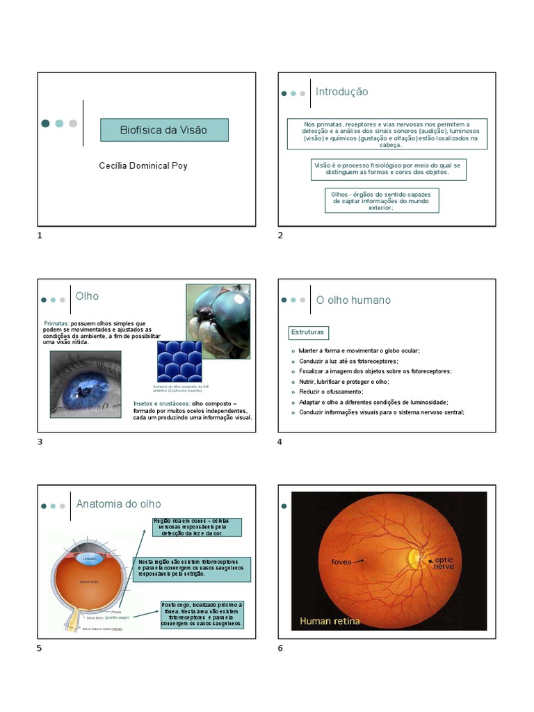 Aula Biofísica Da Visão | PDF | Olho | Sistema visual